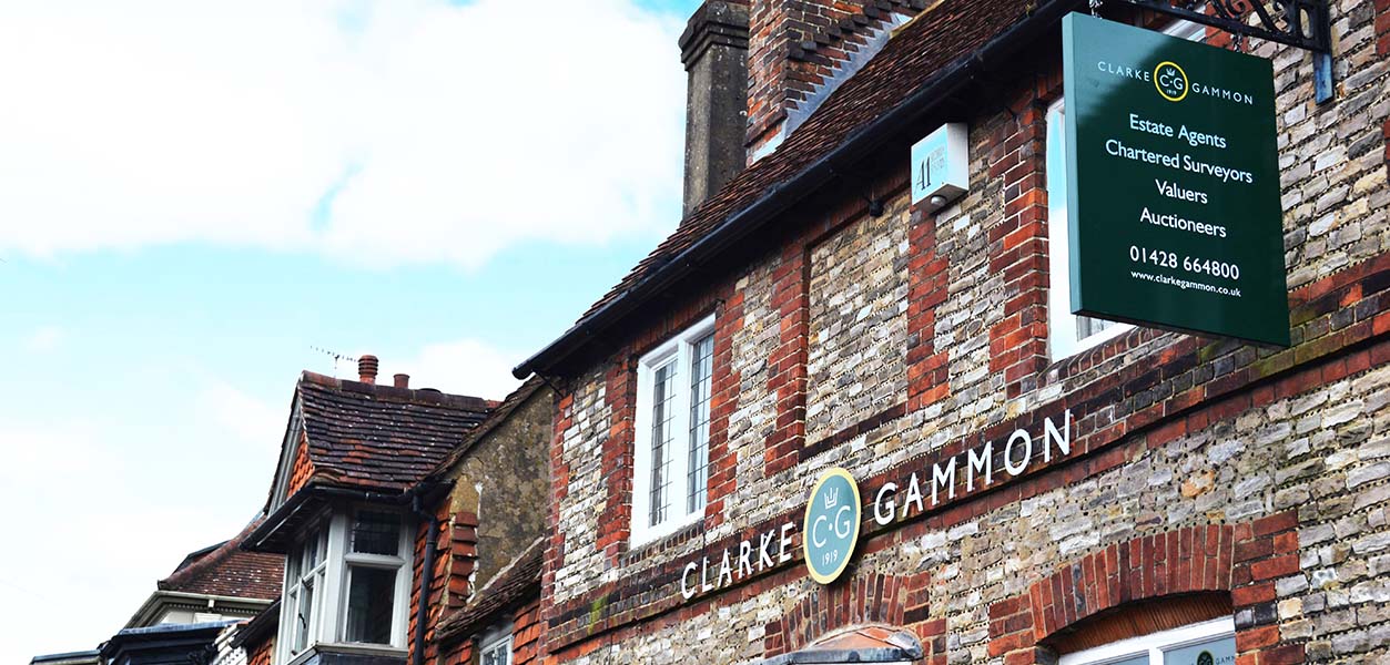 Haslemere - woodland for sale | Clarke Gammon